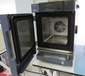 Environmental Testing – Lab Test